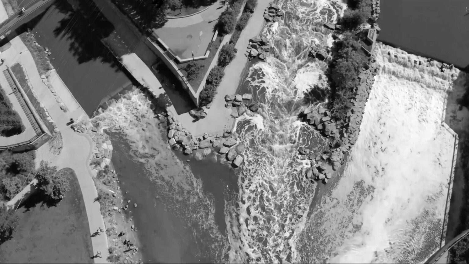 SPREE Summer Camp: July 28-Aug 1, Bioblitz Session 2 - The Greenway ...